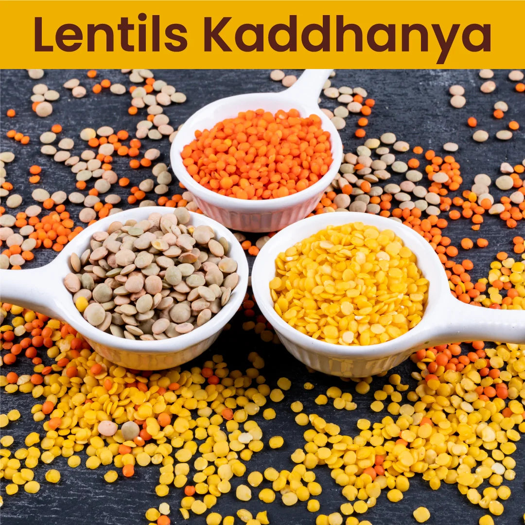 Lentils- Daal & Kaddhanya – Santkrupa Mahila Gruh Udyog